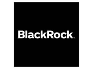 BlackRock: 2026 Global Investment & Outlook Report (including in charts ...
